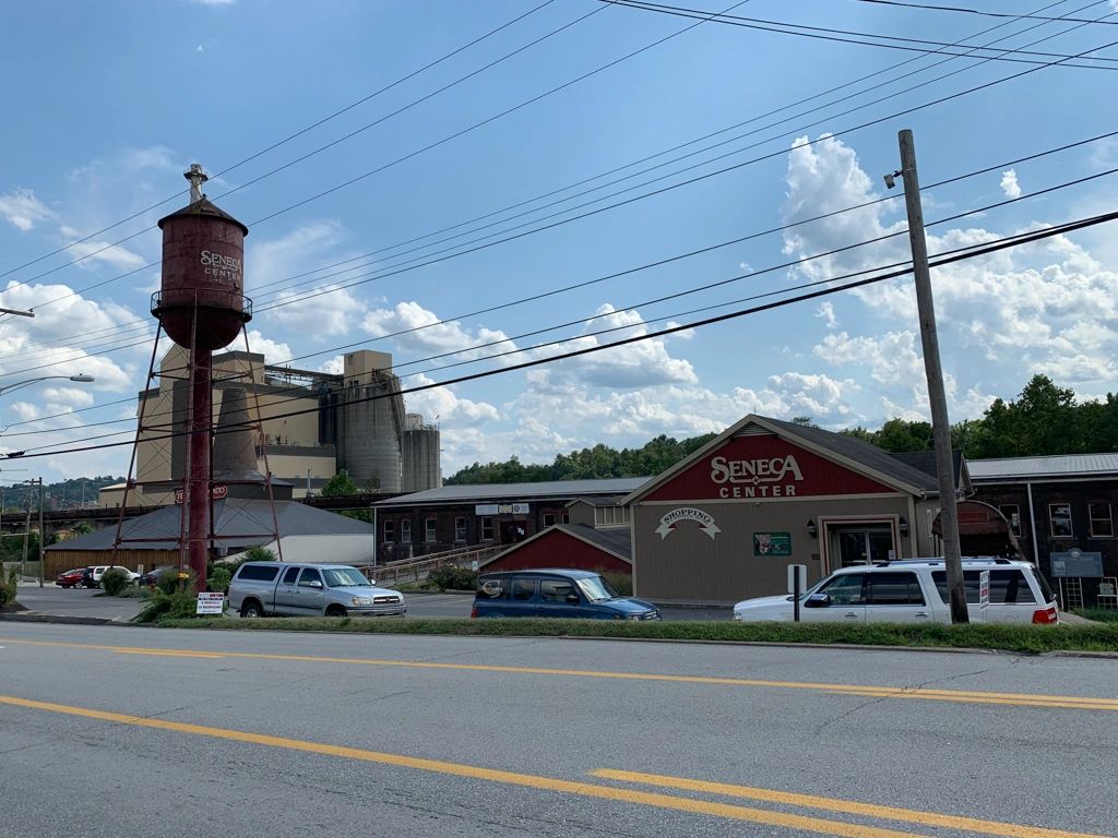 Begin Within | Seneca Center