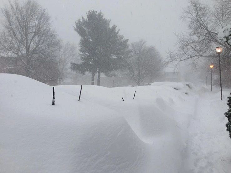 Snow-Specific "Winter Resilience Guide"