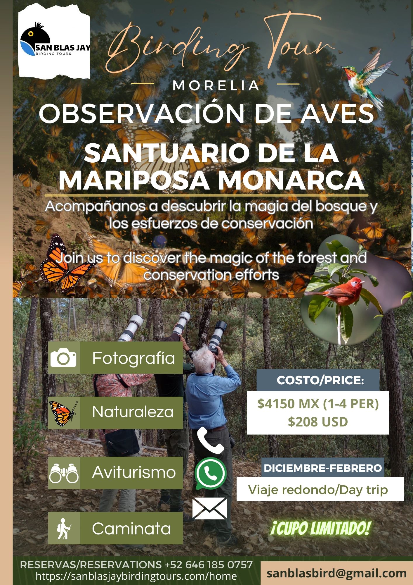 Santuario de la Mariposa Monarca / Monarch Butterfly Sanctuary