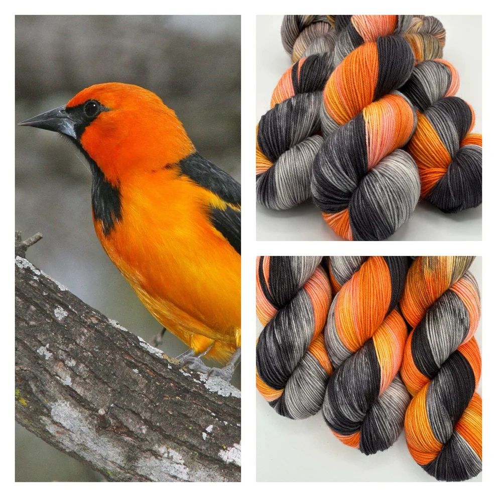 Orange Oriole Arcane Fibre Works Colorway Fingering