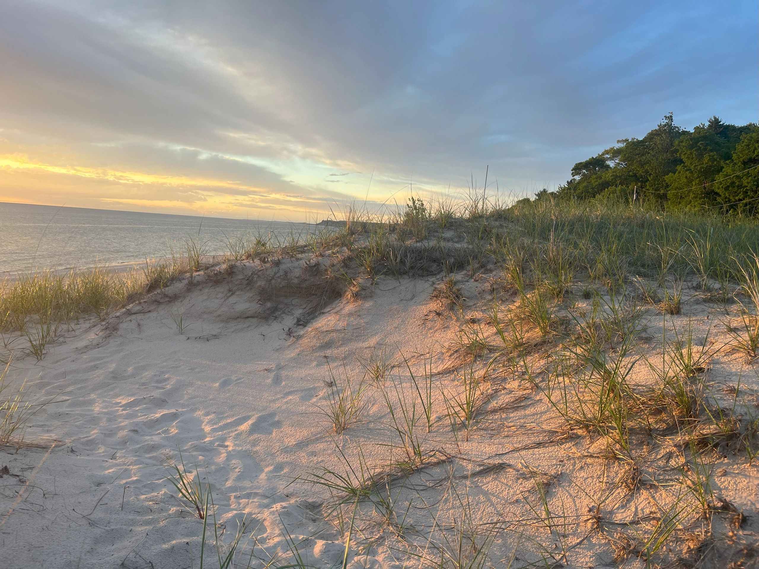 North Central Beach Association