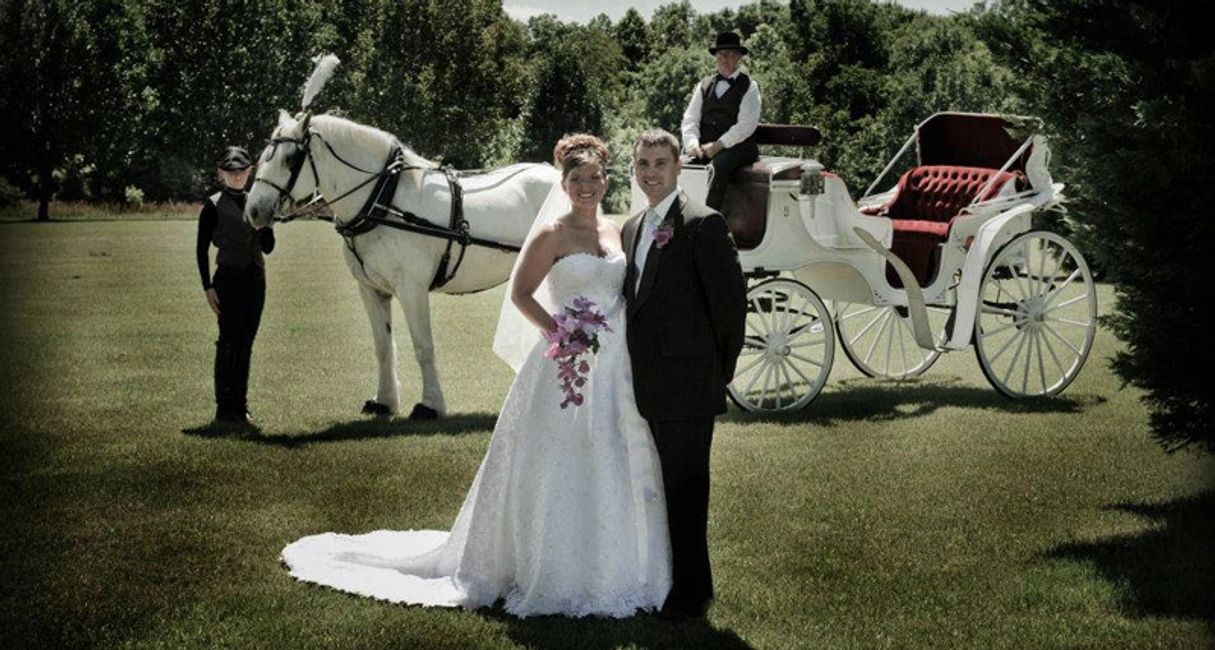 Princess Carriages - Wedding Carriage - Little Rock, Arkansas ...