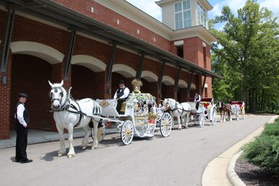 Large Groups | Princess Carriages