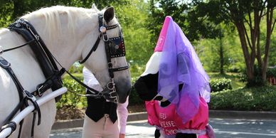 Carriage Rental - Princess Carriages