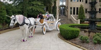 Carriage Rental - Princess Carriages