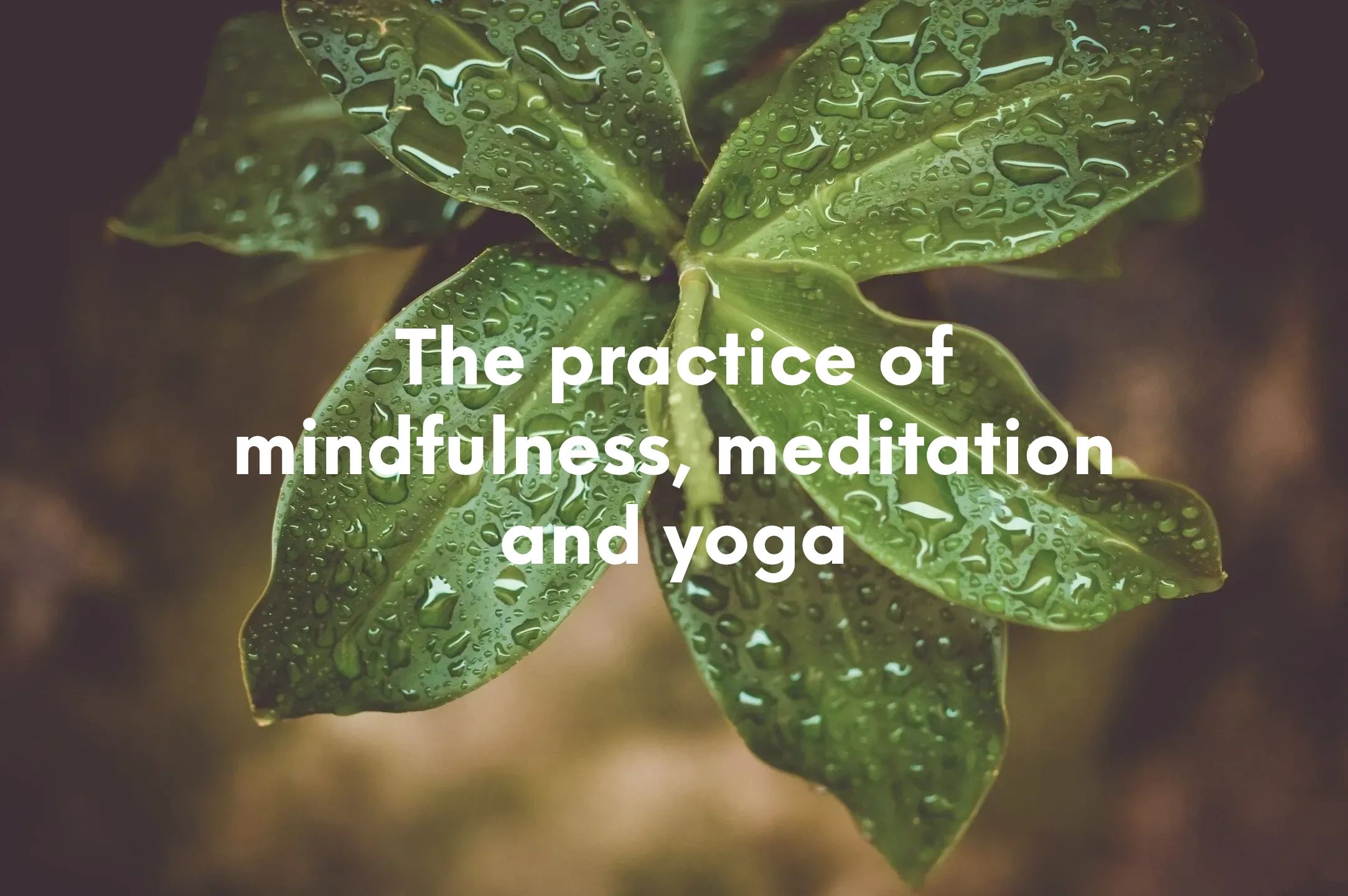 My Calm Place - Yoga, Meditation and Mindfulness