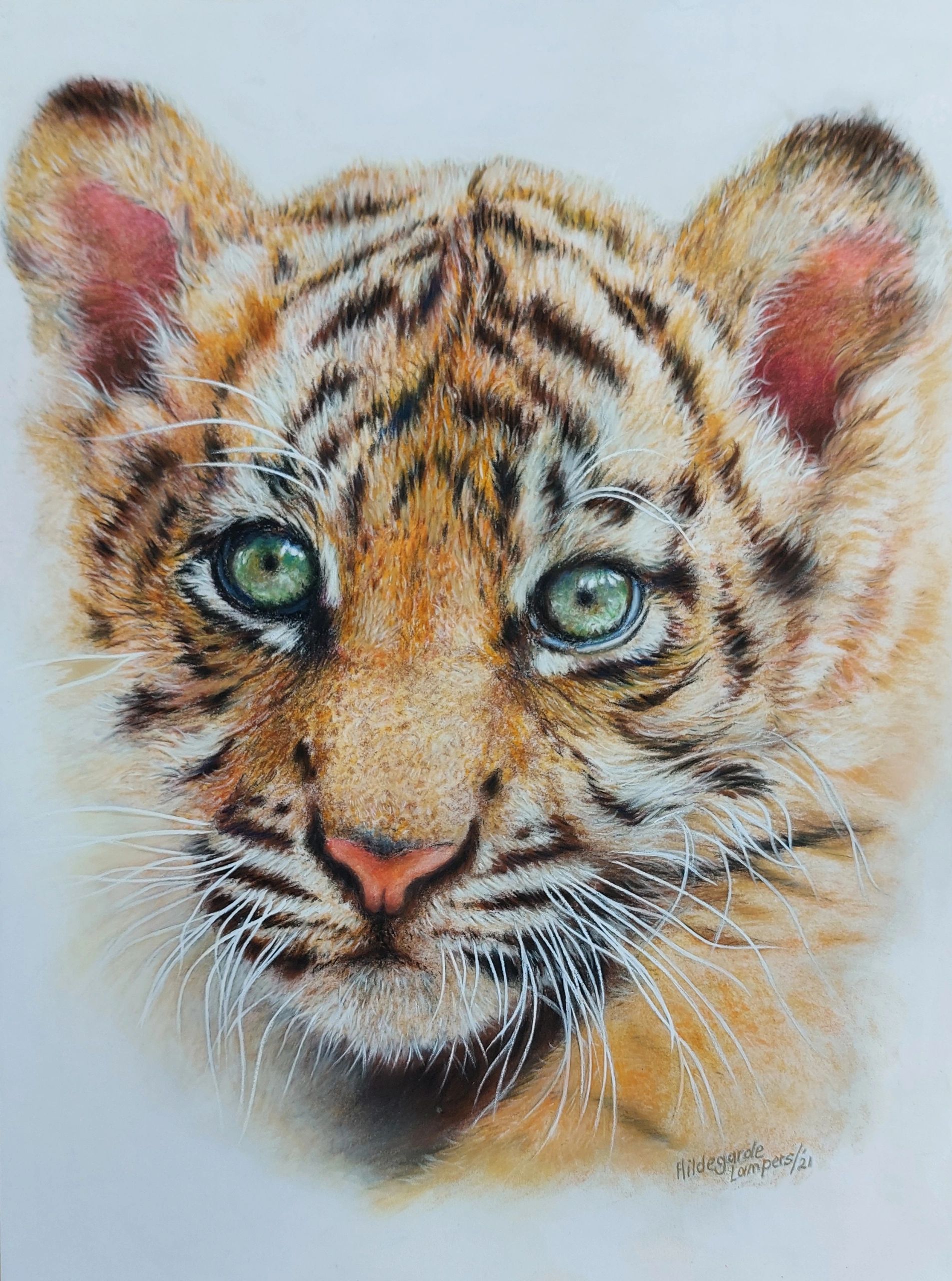 The Society of Feline Artists Exhibition 2022