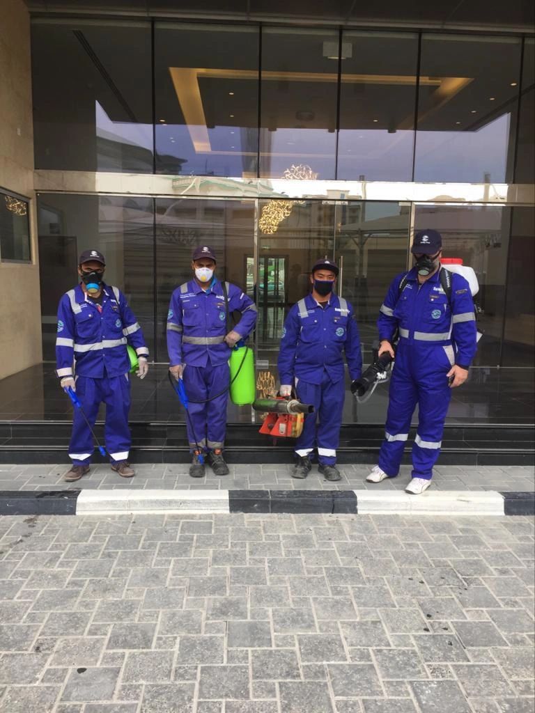 Expert Pest Control Service in Your Area