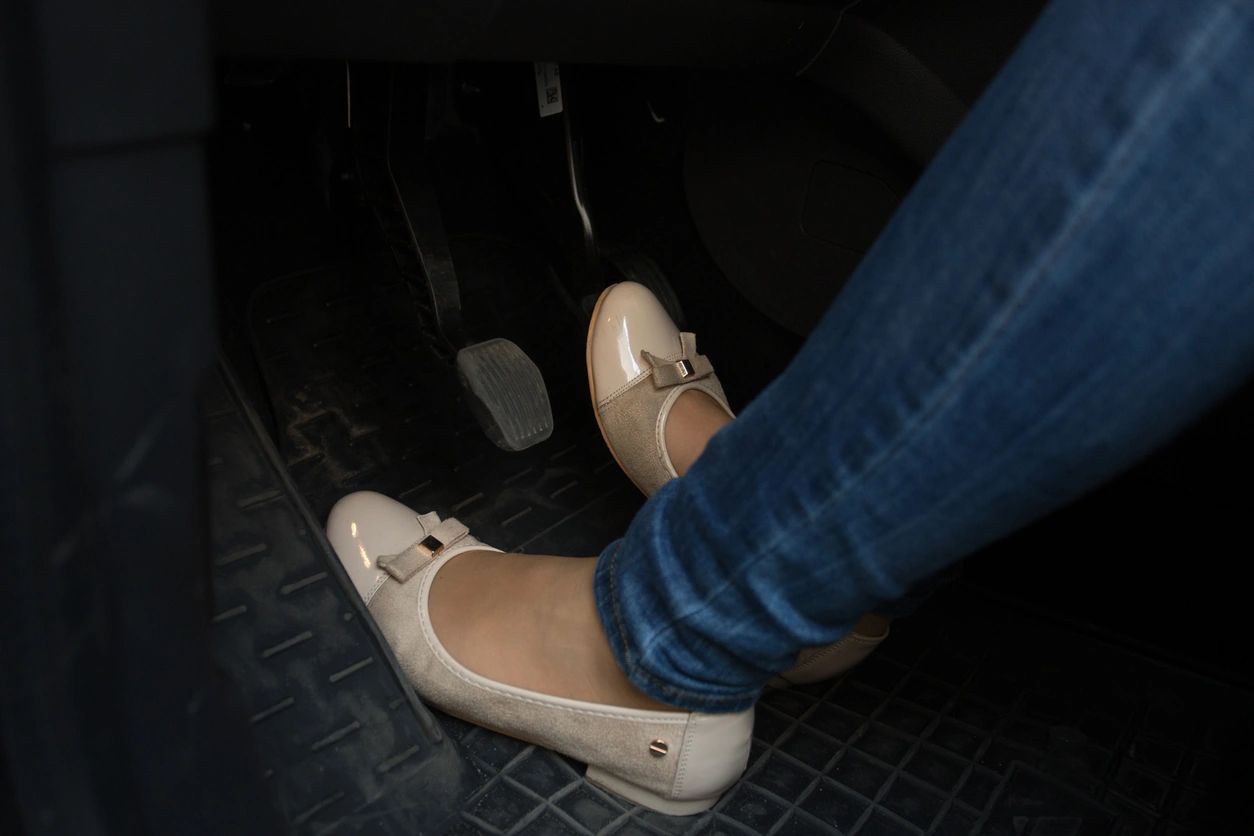 Our Nervous System: The Brake Pedal and the Gas Pedal