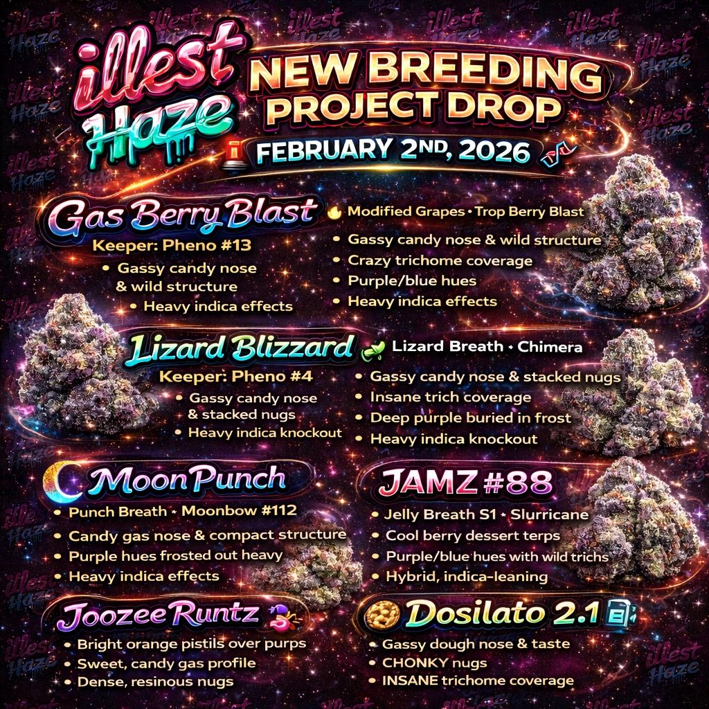 New Illest Haze Breeding Project Drop — February 2, 2026