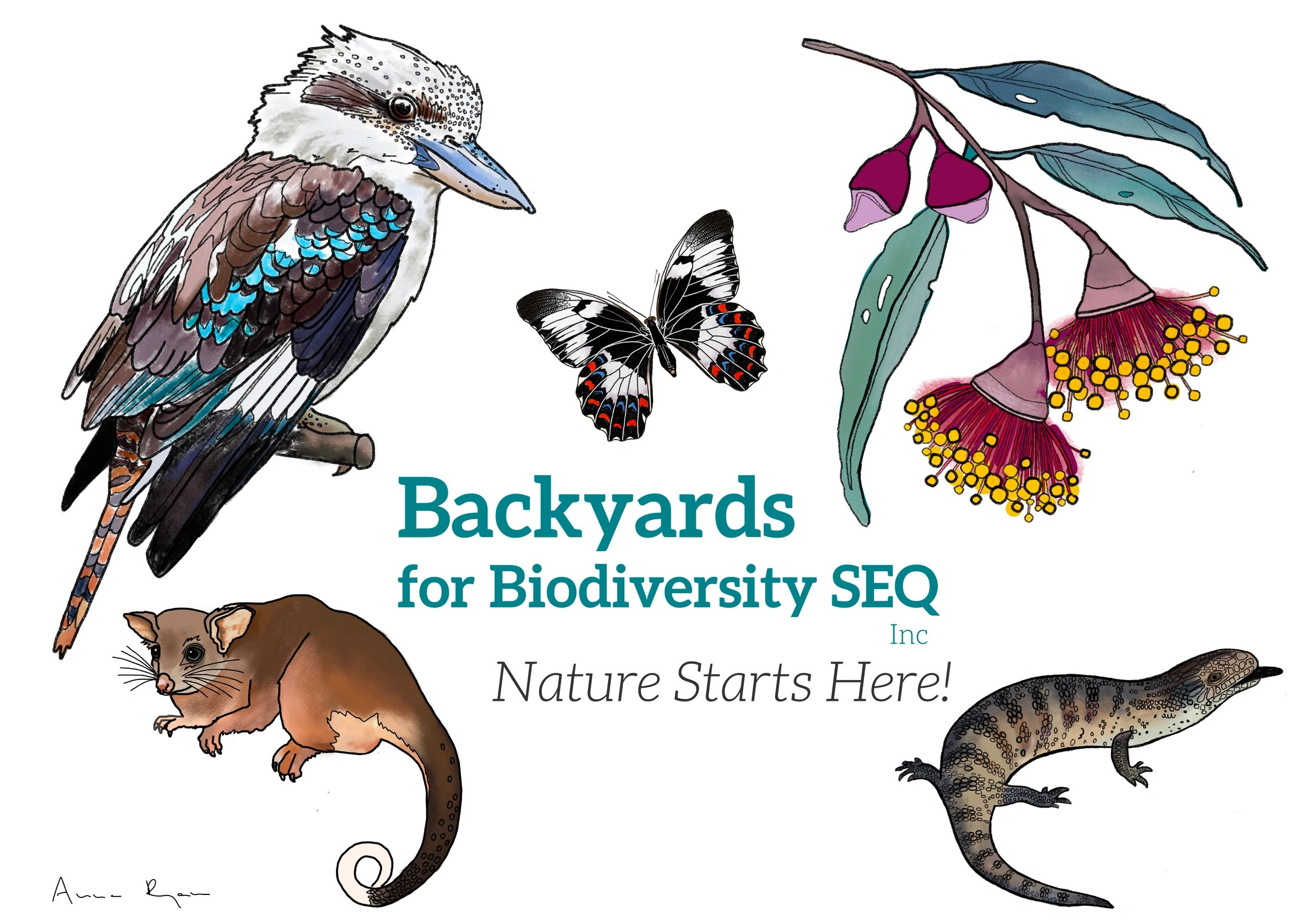 BECOME A BACKYARDS FOR BIODIVERSITY MEMBER