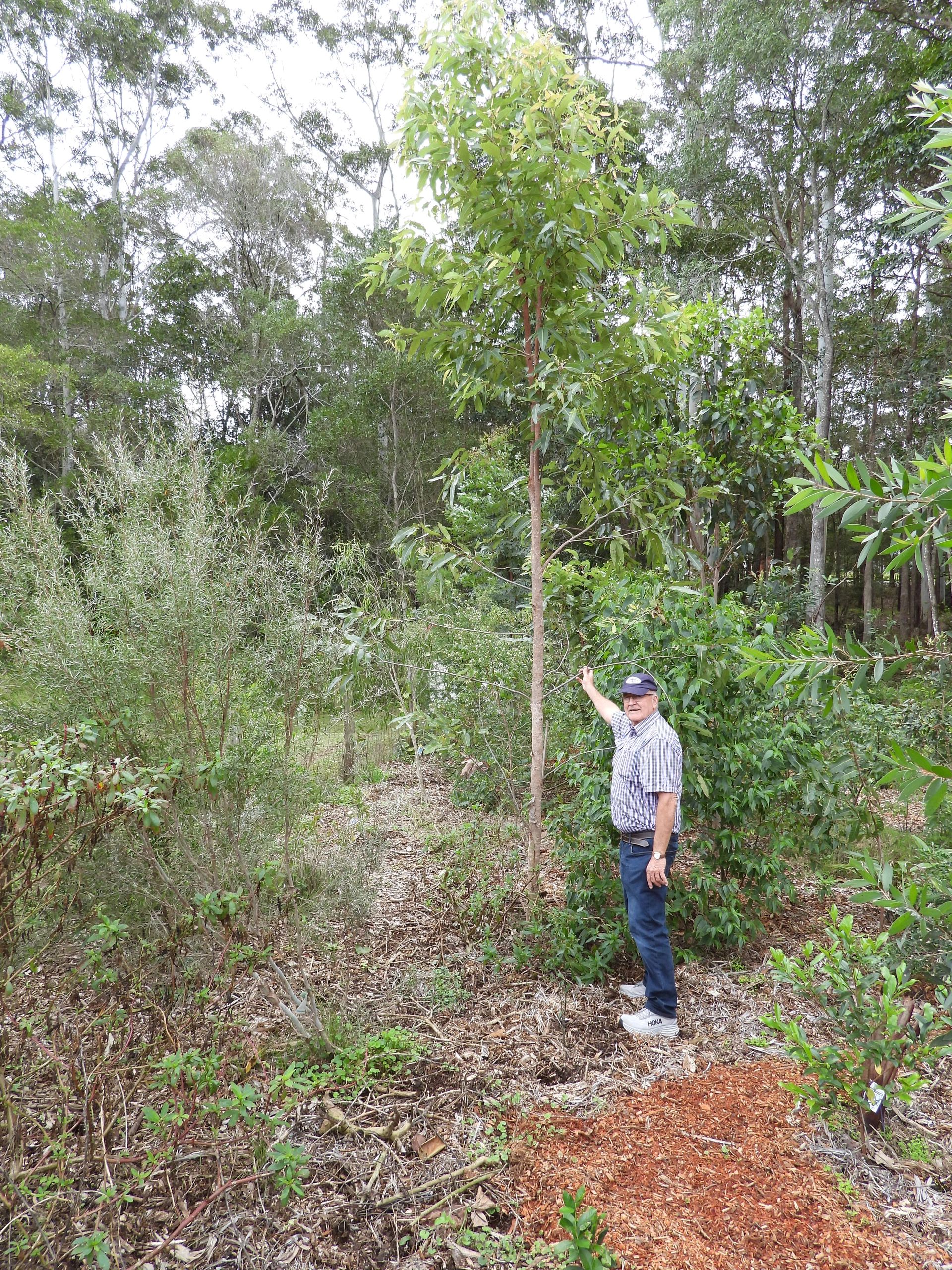 A Backyard for Biodiversity: John Birbeck