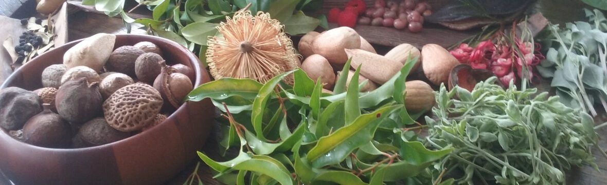 Bush Foods at Witjuti Grub Bushfood Nursery