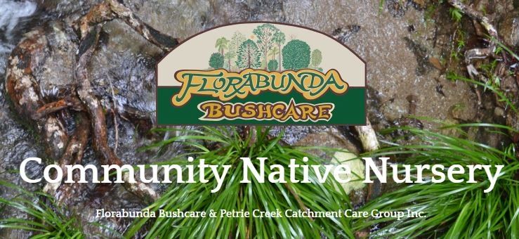 Participating Nursery: Florabunda Community Native Nursery
