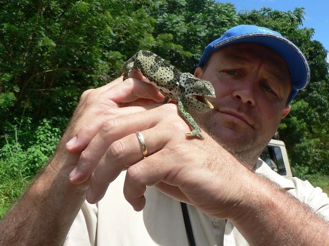 Backyard for Biodiversity SEQ - Committee Member - Ken Cross