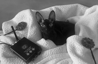 Rife Technology - Real Rife Machine, Rife Technology