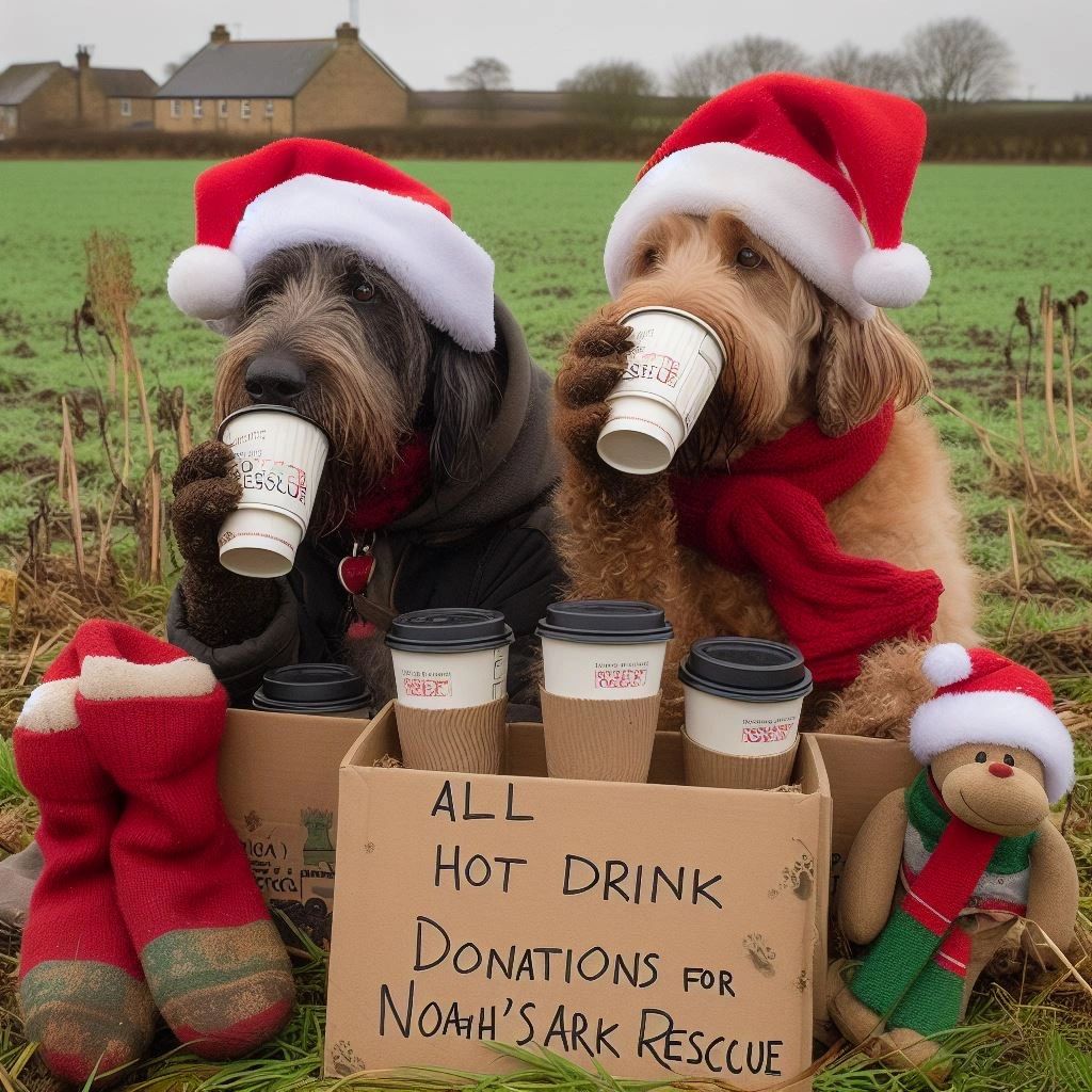 Gallery | The Stilton Dog Field