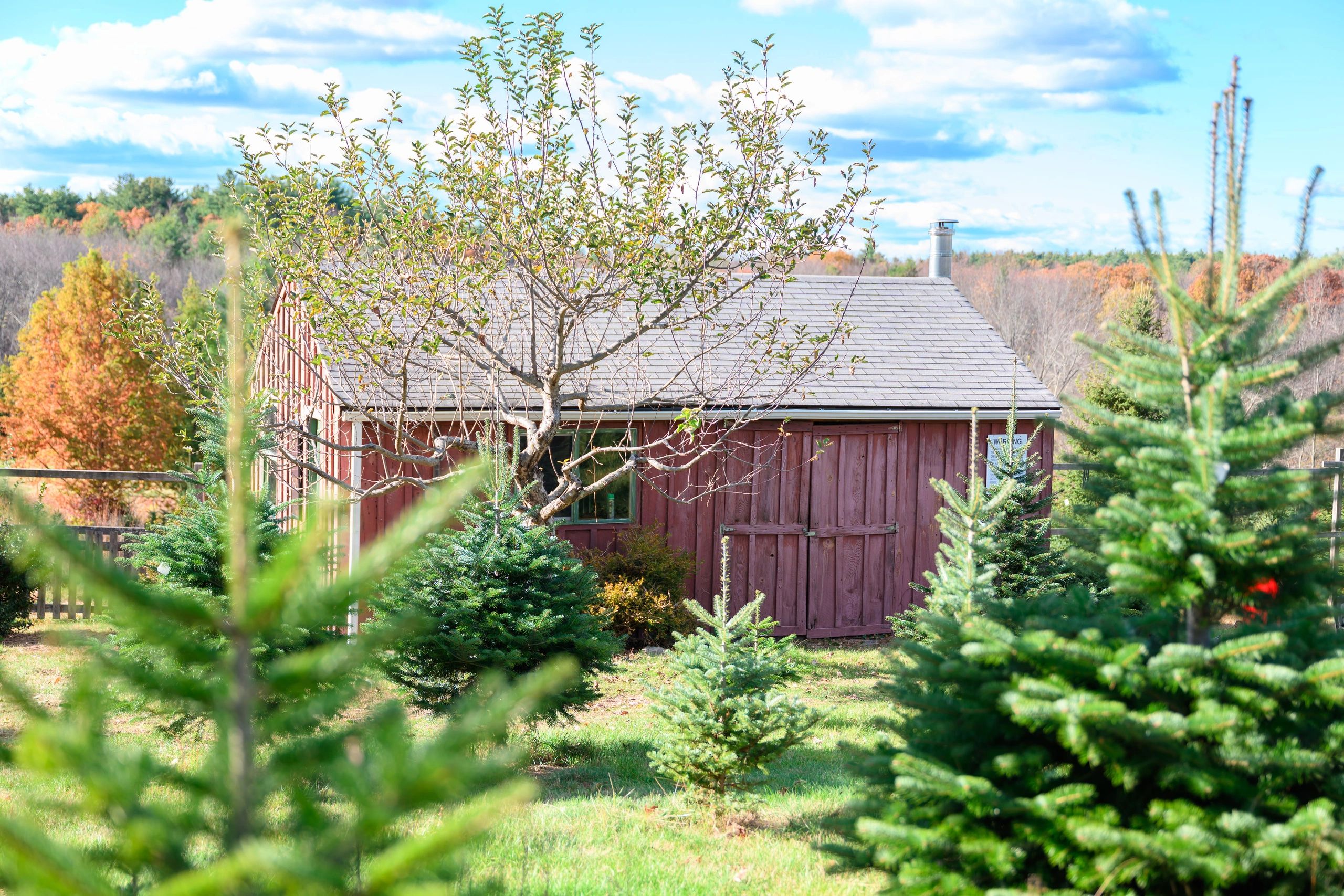 About Us | River Wind Tree Farm