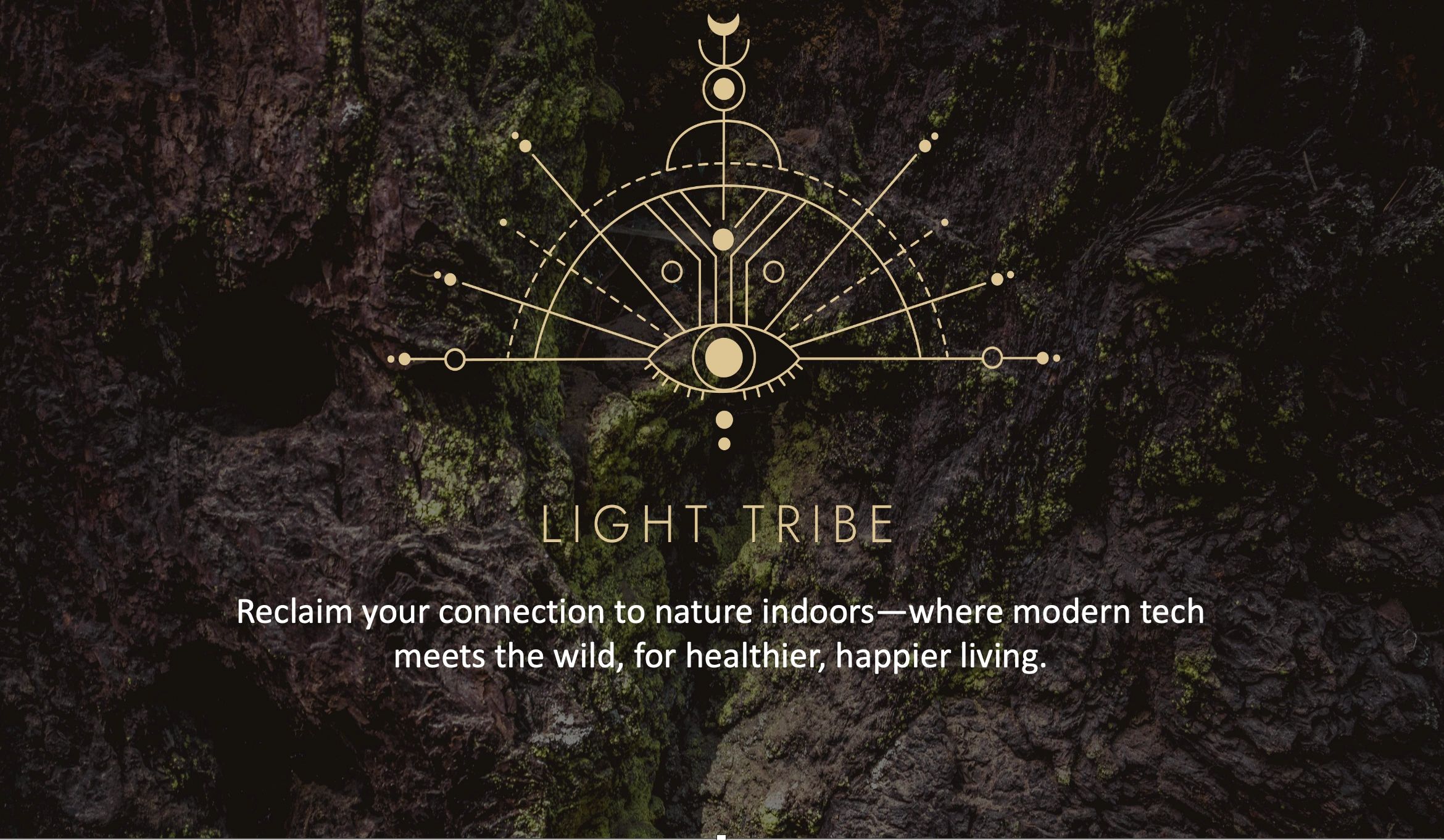 Light Tribe