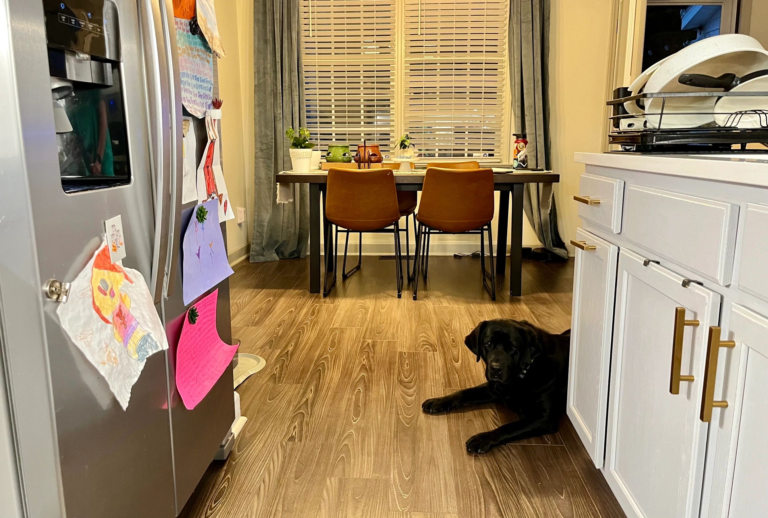 Pet Hair is Not an Ingredient