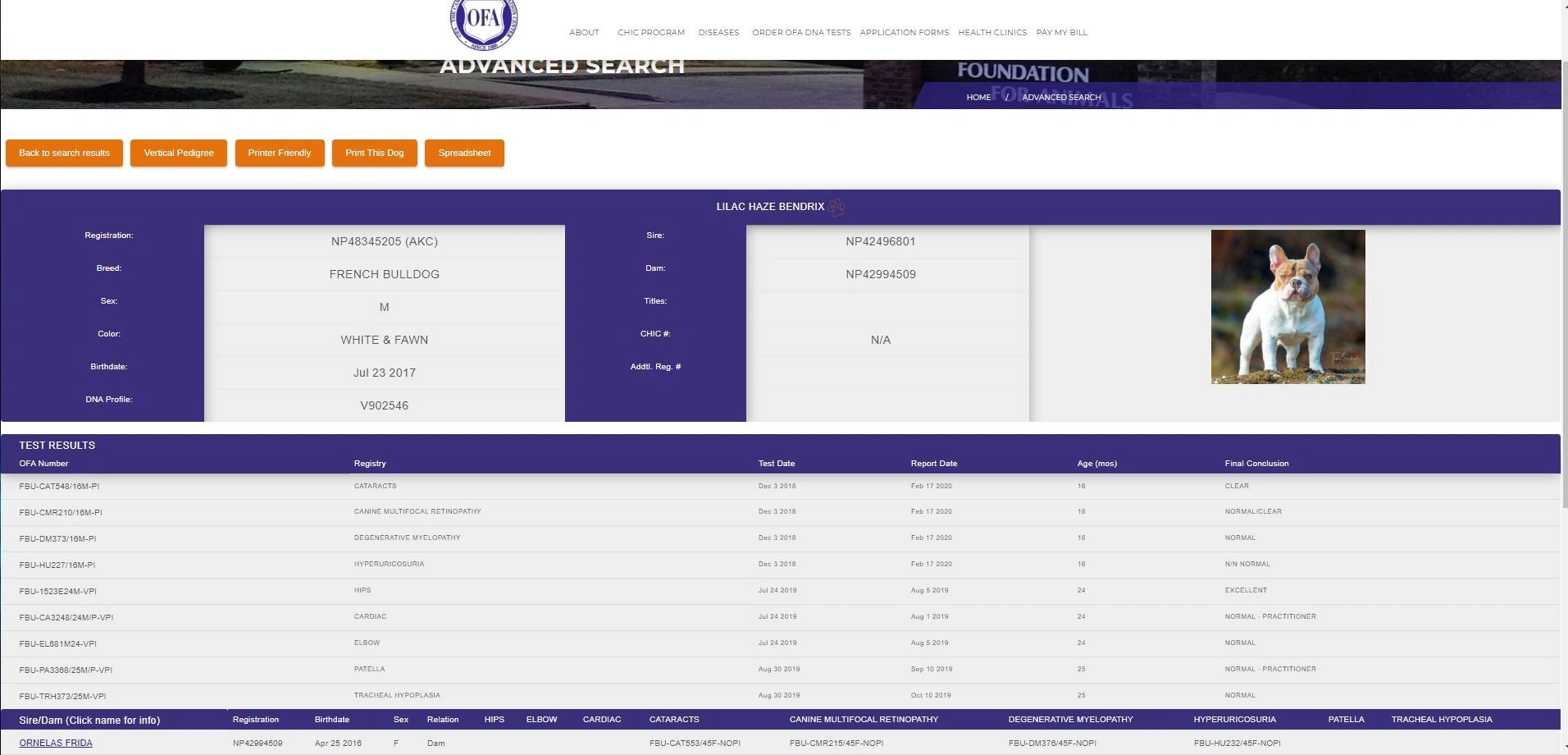 OFA Certification: How to Submit Your DNA Health Results