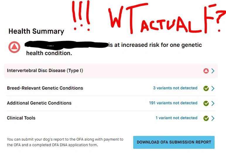 Is Ivdd In Dogs Genetic