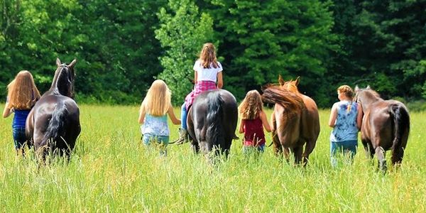 National Walking Horse Association