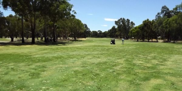 Hillview Golf Course, WA - Golf Course - Perth, Western Australia