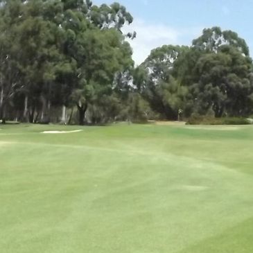 Hillview Golf Course, WA - Golf Course - Perth, Western Australia