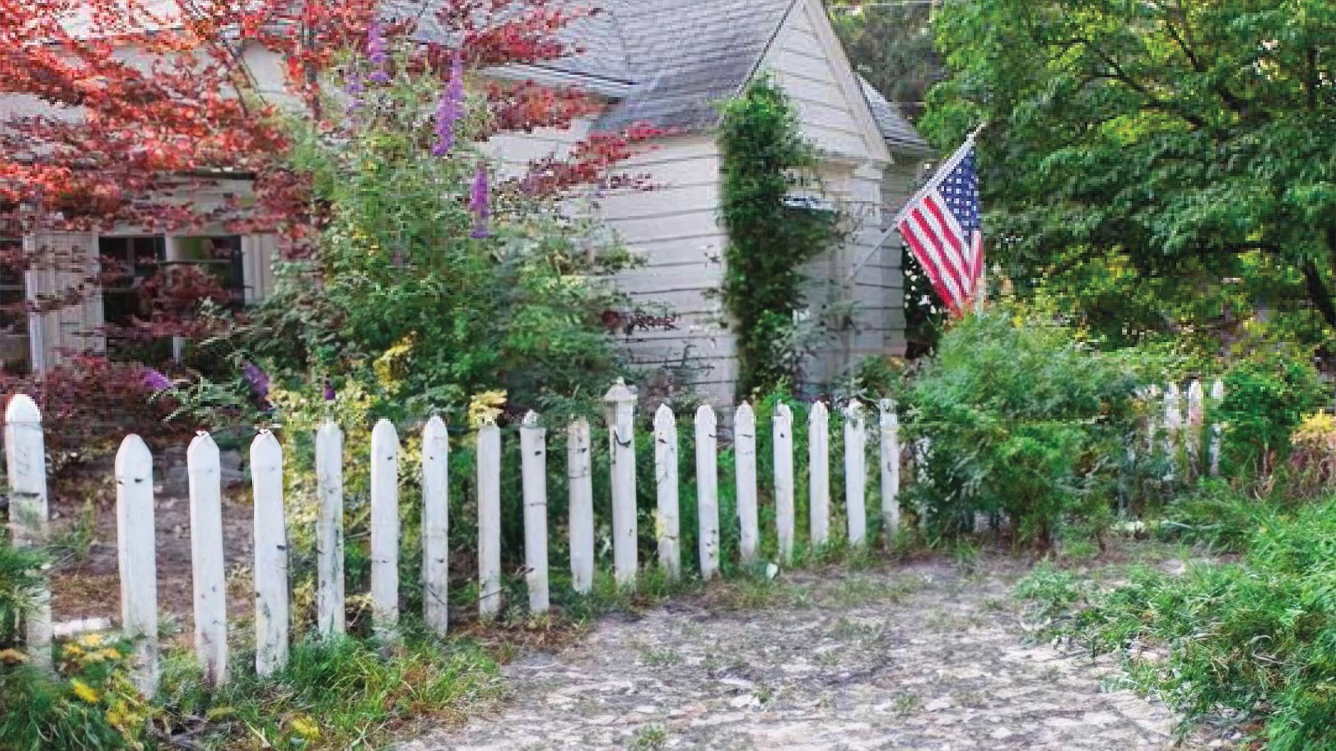 Corona Tree Experts Inc