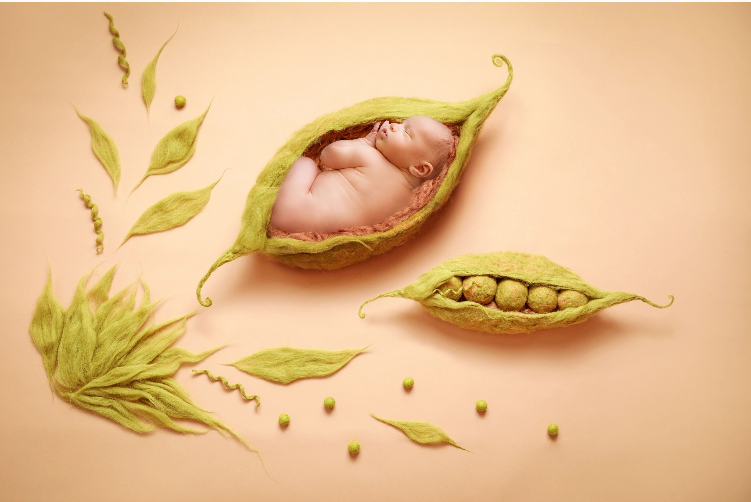 Family Photography - Moonbeam Photography