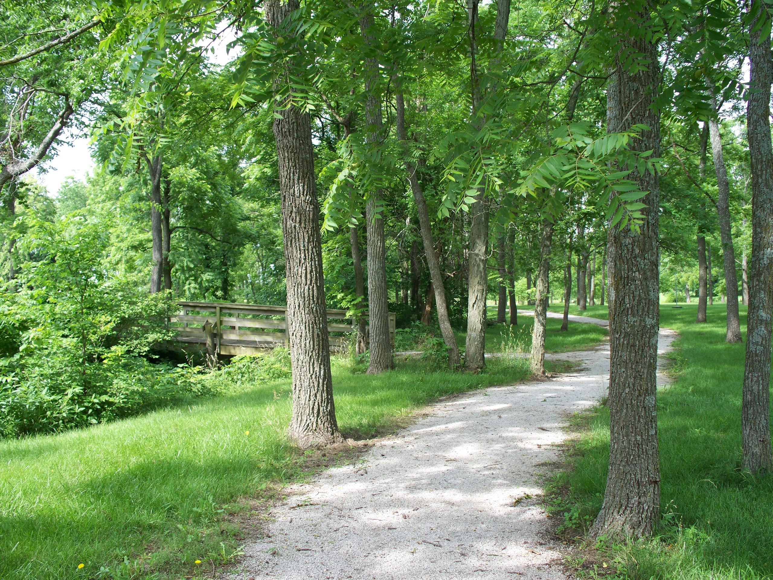 HOME [strongbranchesconsulting.com]