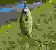 Family Palate - Primland, Luxury Resort | Family Palate