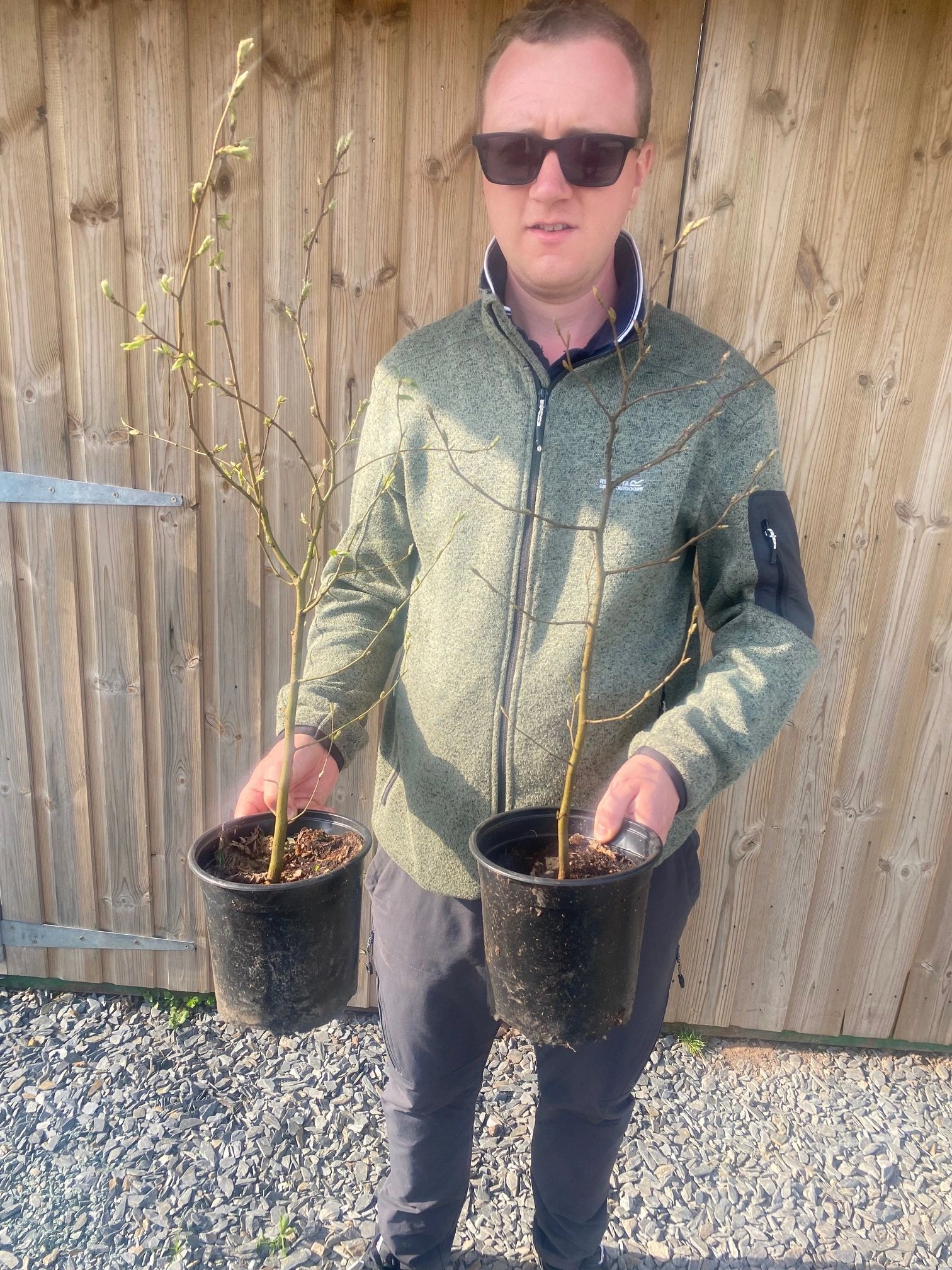 Livestock Friendly Farm and Horse Hedging Plants