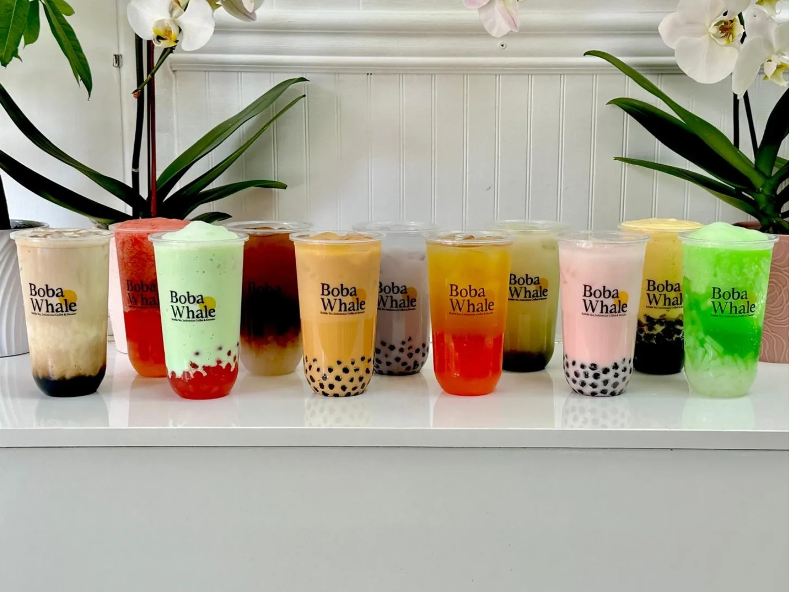 Delicious Milk Bubble Tea and Boba Tea at Boba Whale