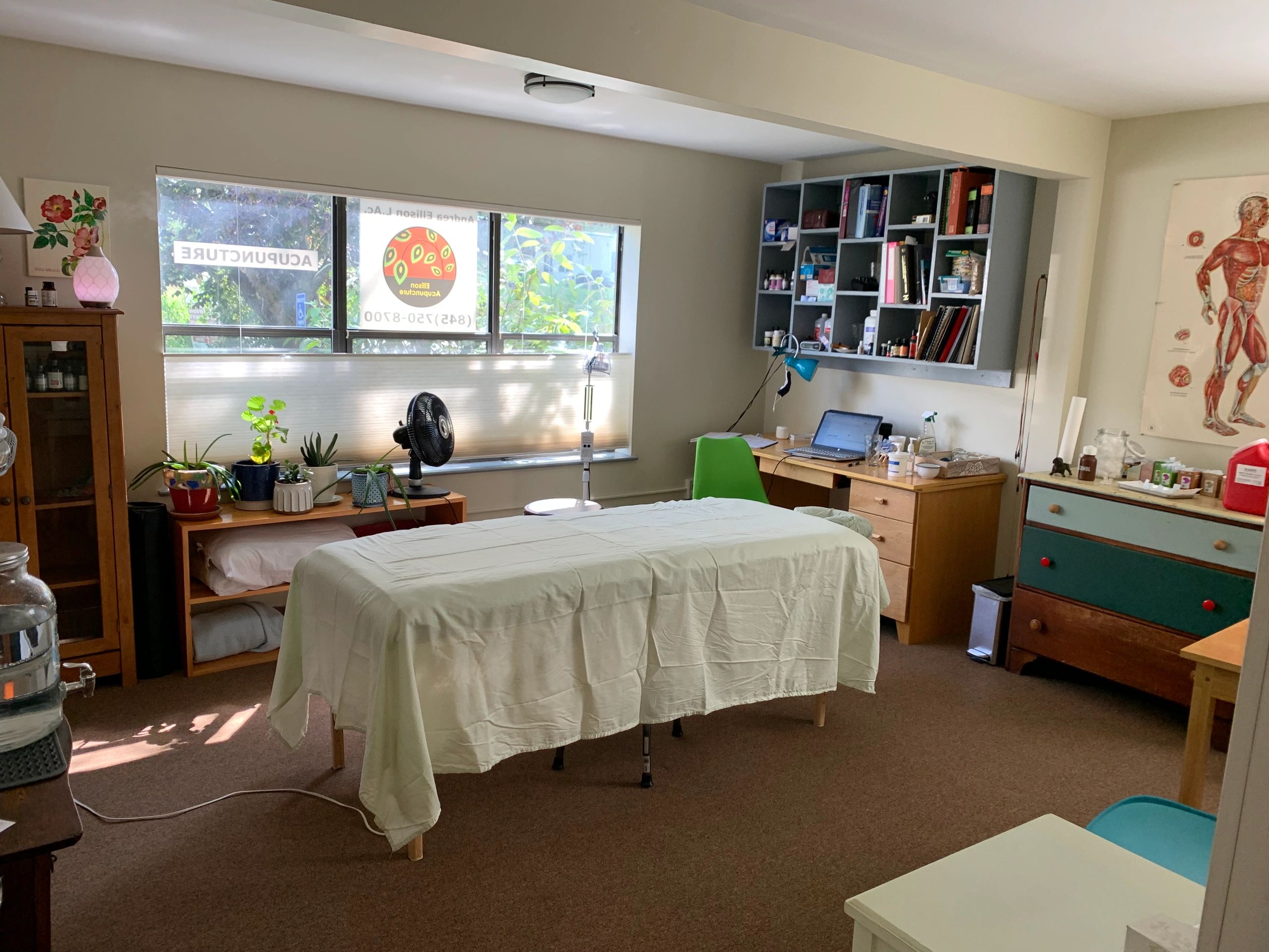 Acupuncture - Ellison Acupuncture and Therapeutic Massage, PLLC.