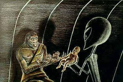 Sasquatch Reveals The Soul Evolution of Earth