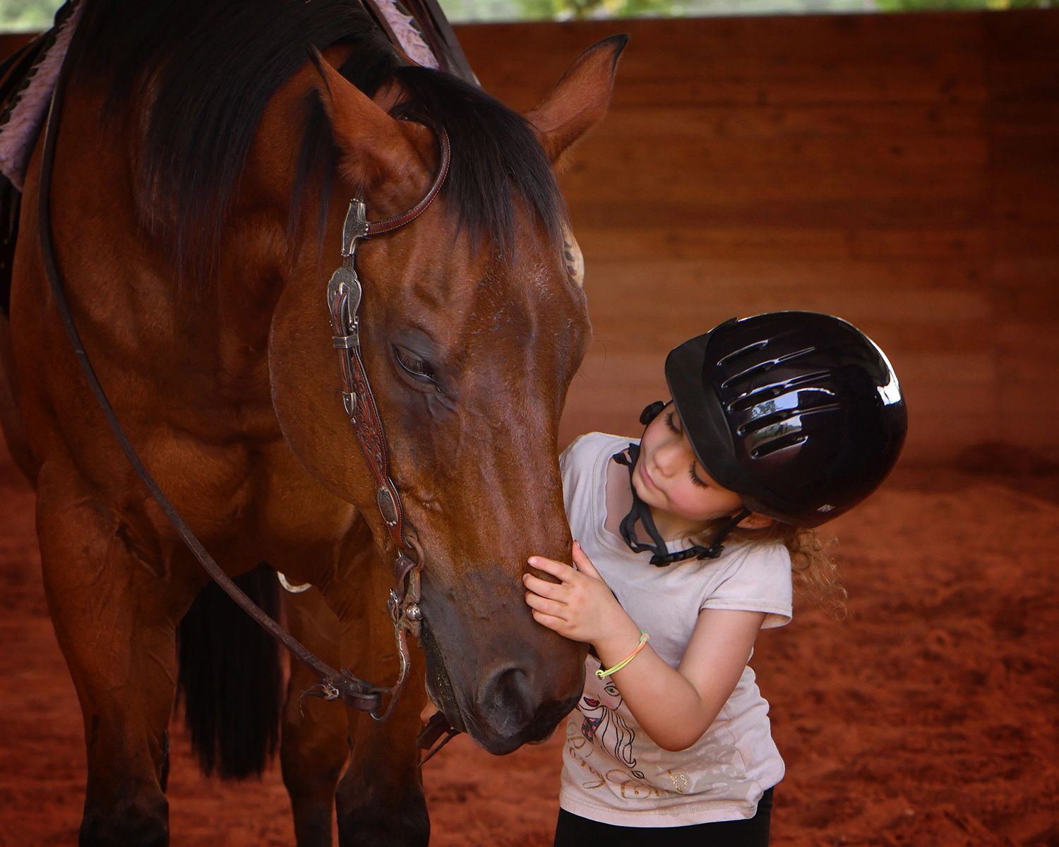Texas Riding Academy - Horseback Riding Lessons, Horses