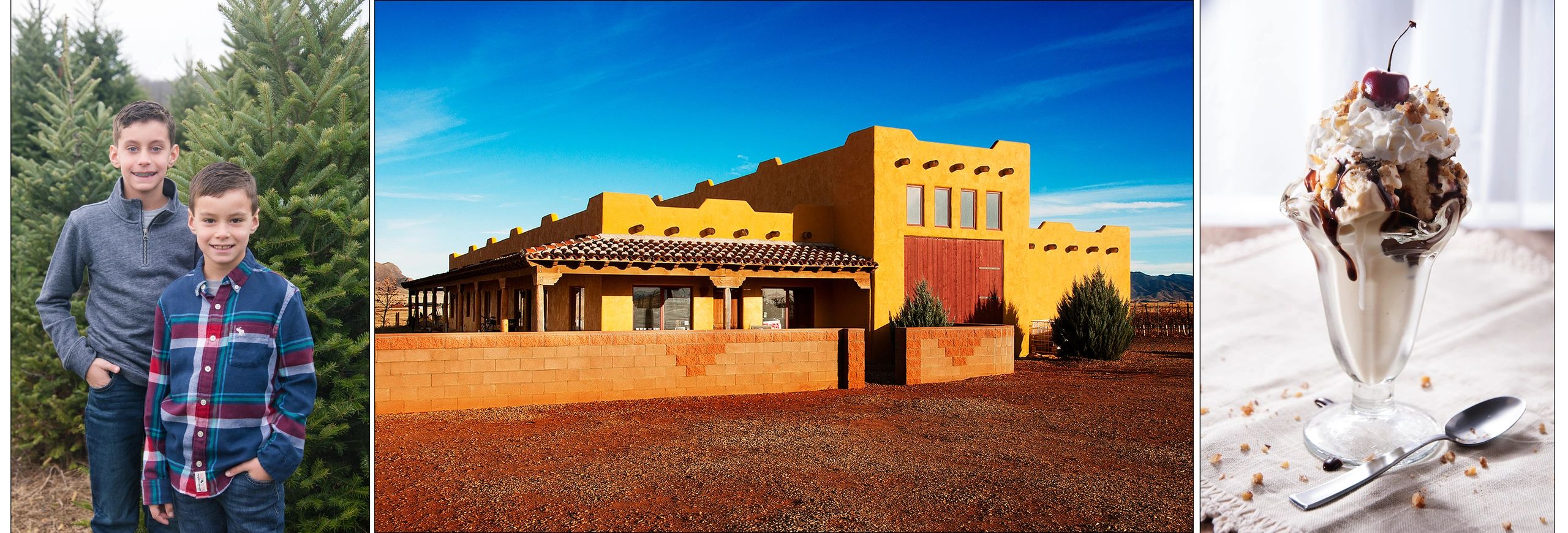 Kim Pollock Photography