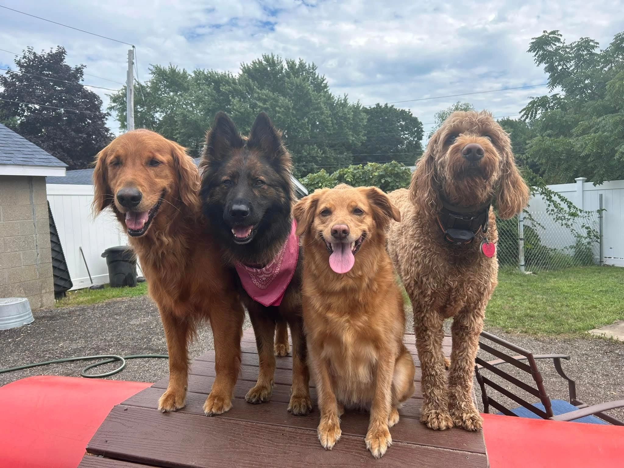 Happy Trails Pet Care