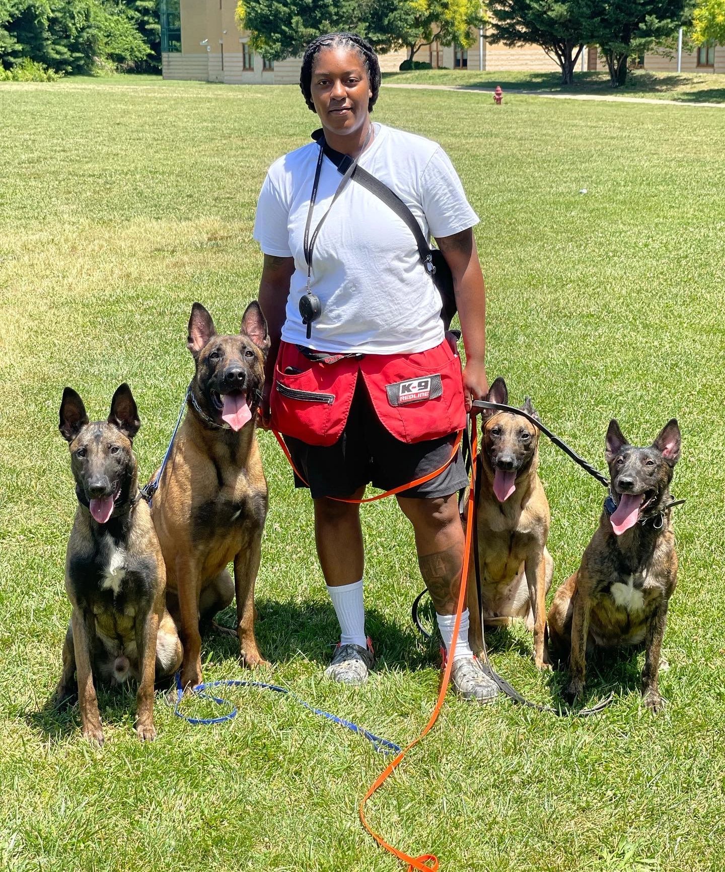 What Is R Dog Training