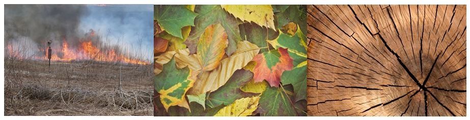 Silvix Forestry & Prescribed Fire