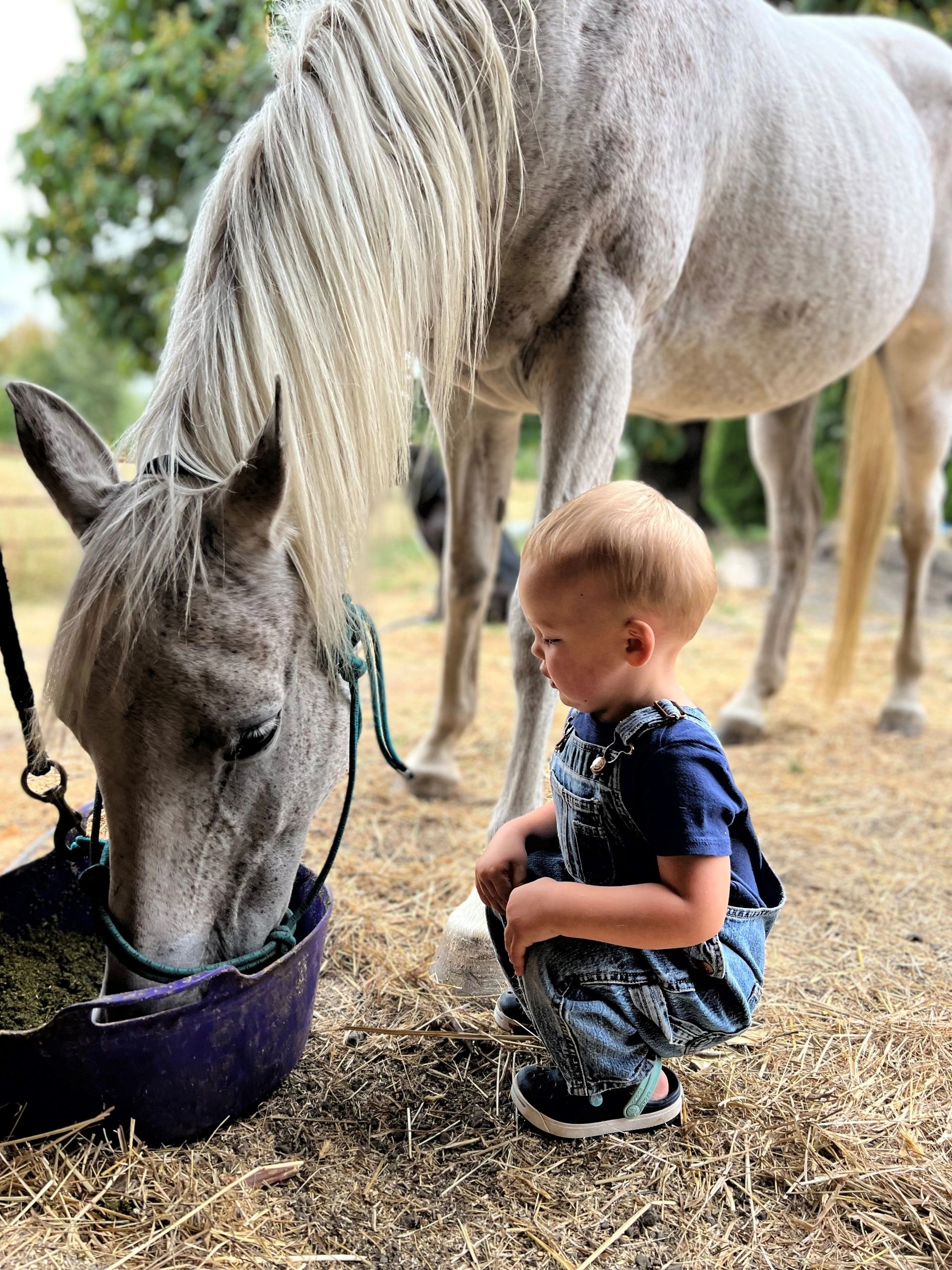 Liberty Direct Primary Care