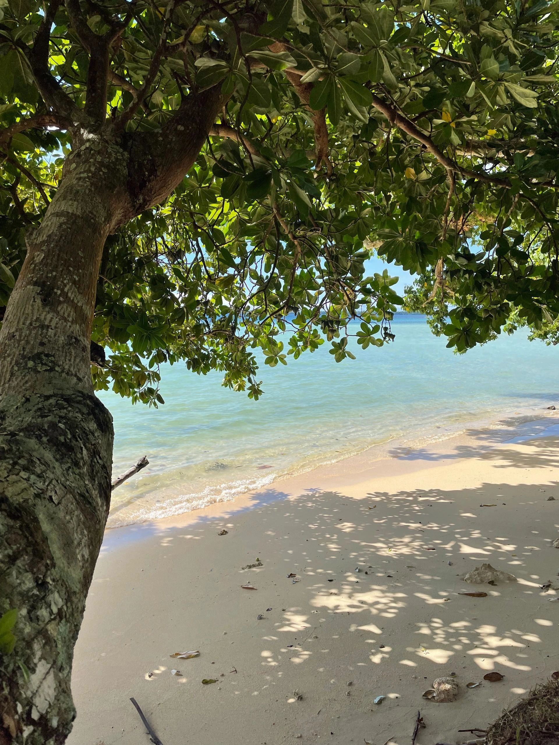 Experience the Pristine East Coast at Lope Lope Beach Bungalows