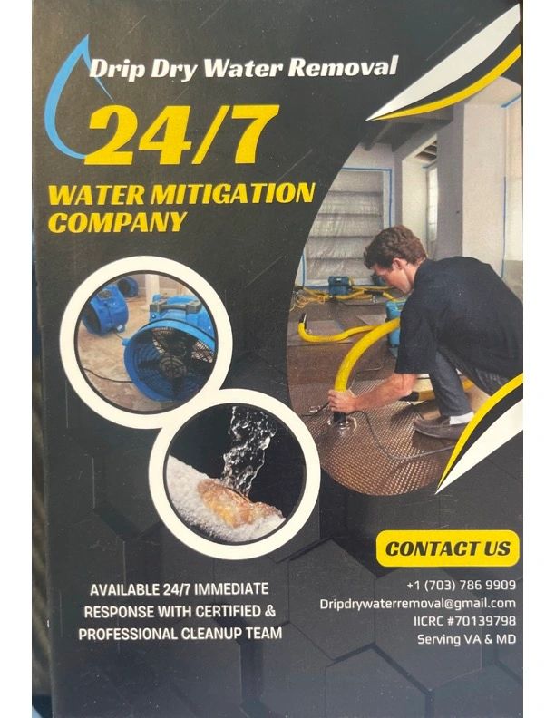 Drip Dry Water Removal llc