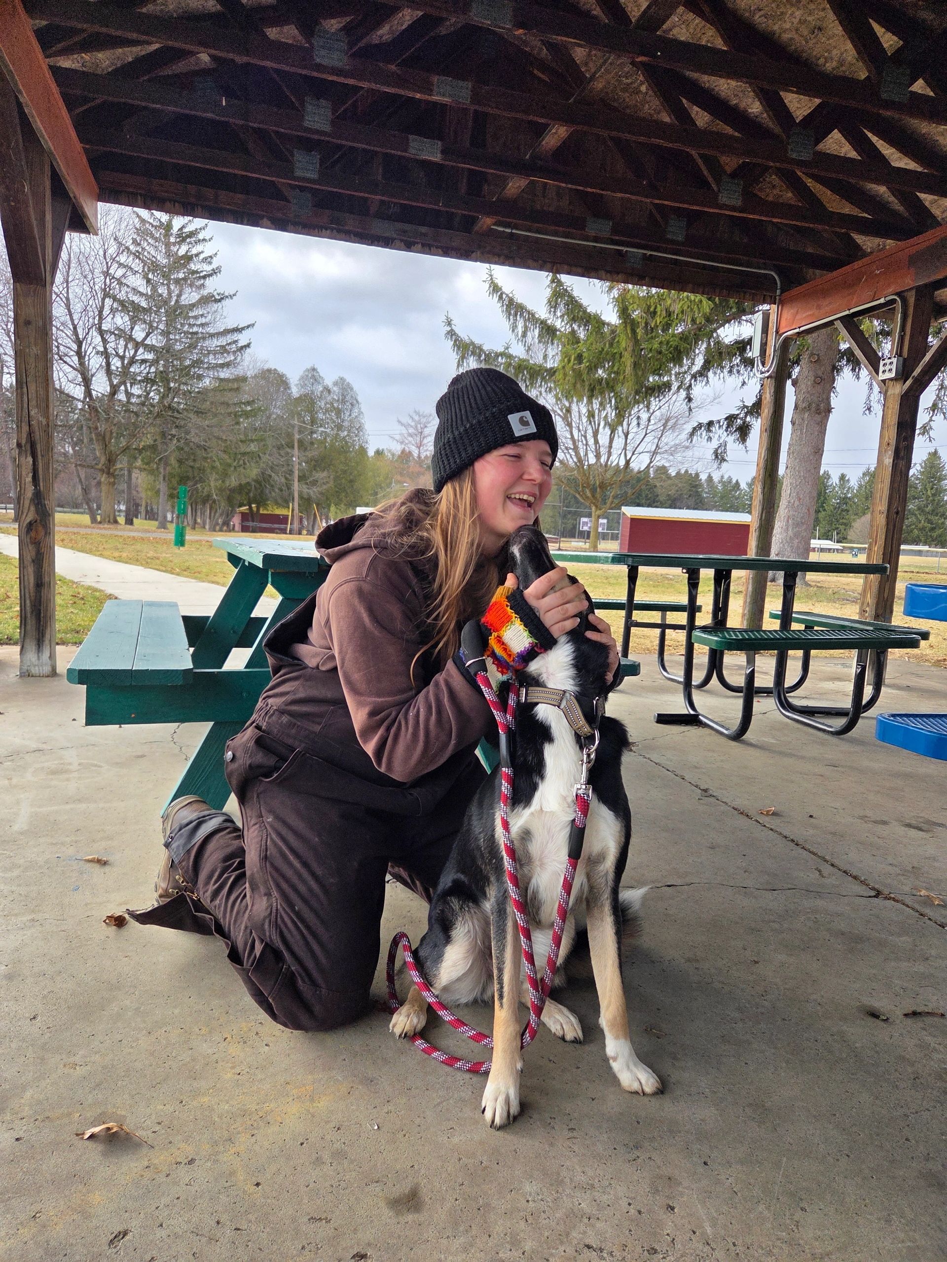 The Groovy Dog Trainer