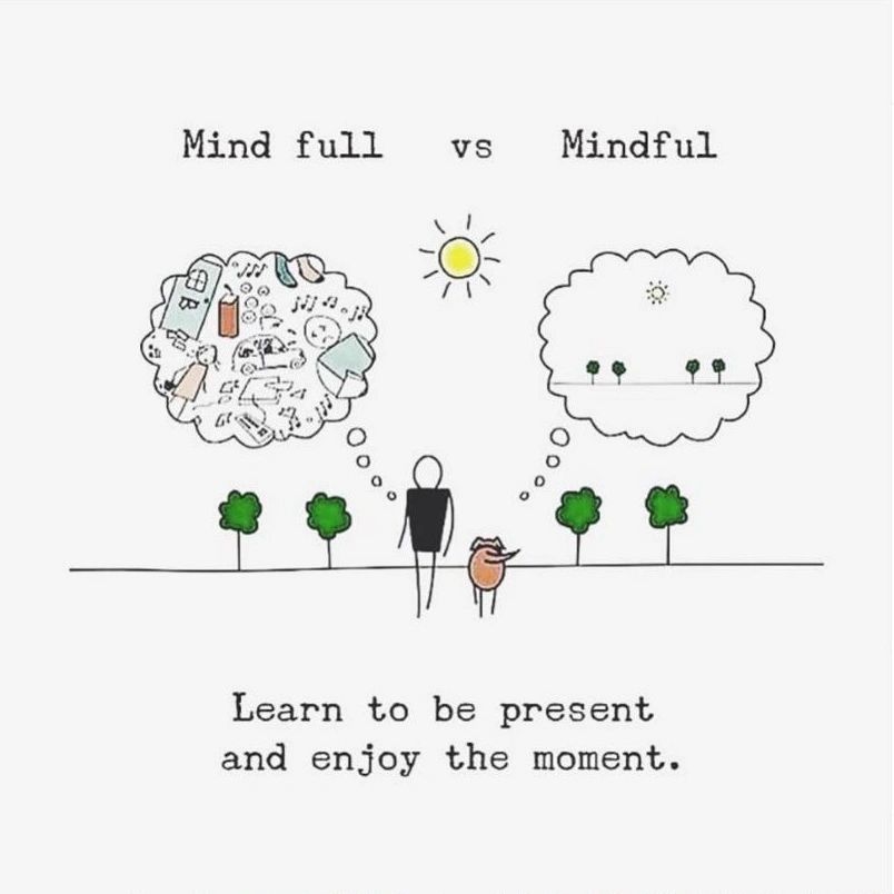 Mind full or mindful? The Hows and Whys of Mindfulness