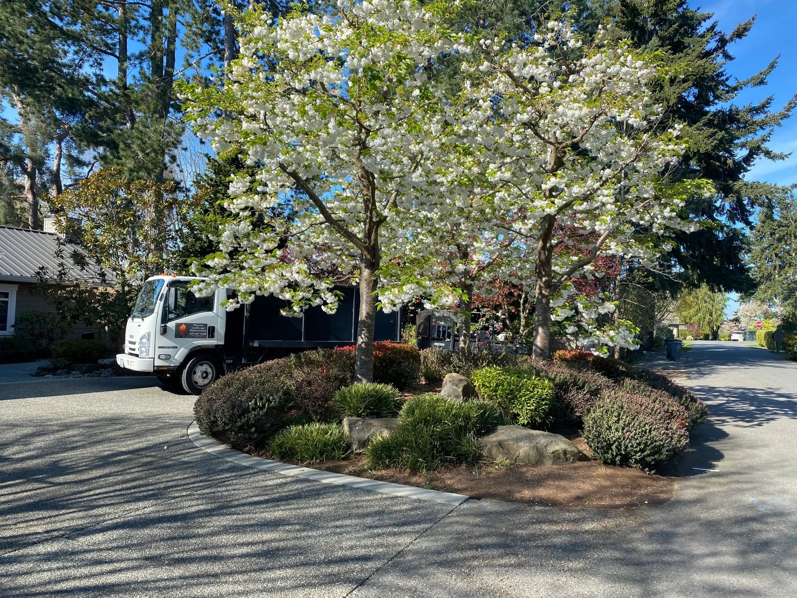 Landscape - Phoenix Landscape Maintenance, LLC