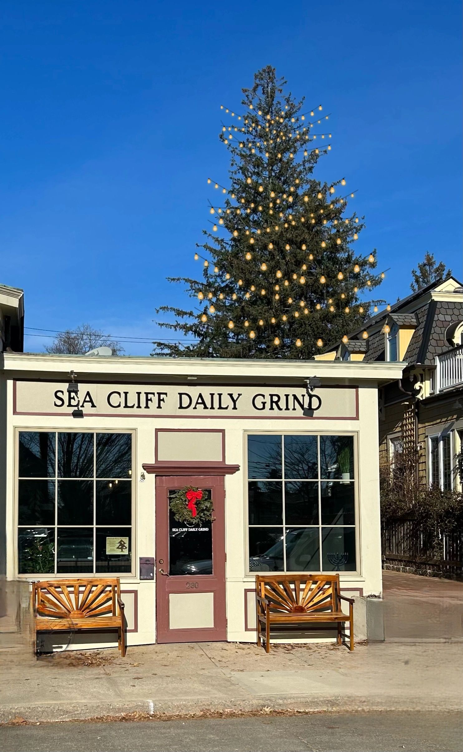 Sea Cliff Daily Grind