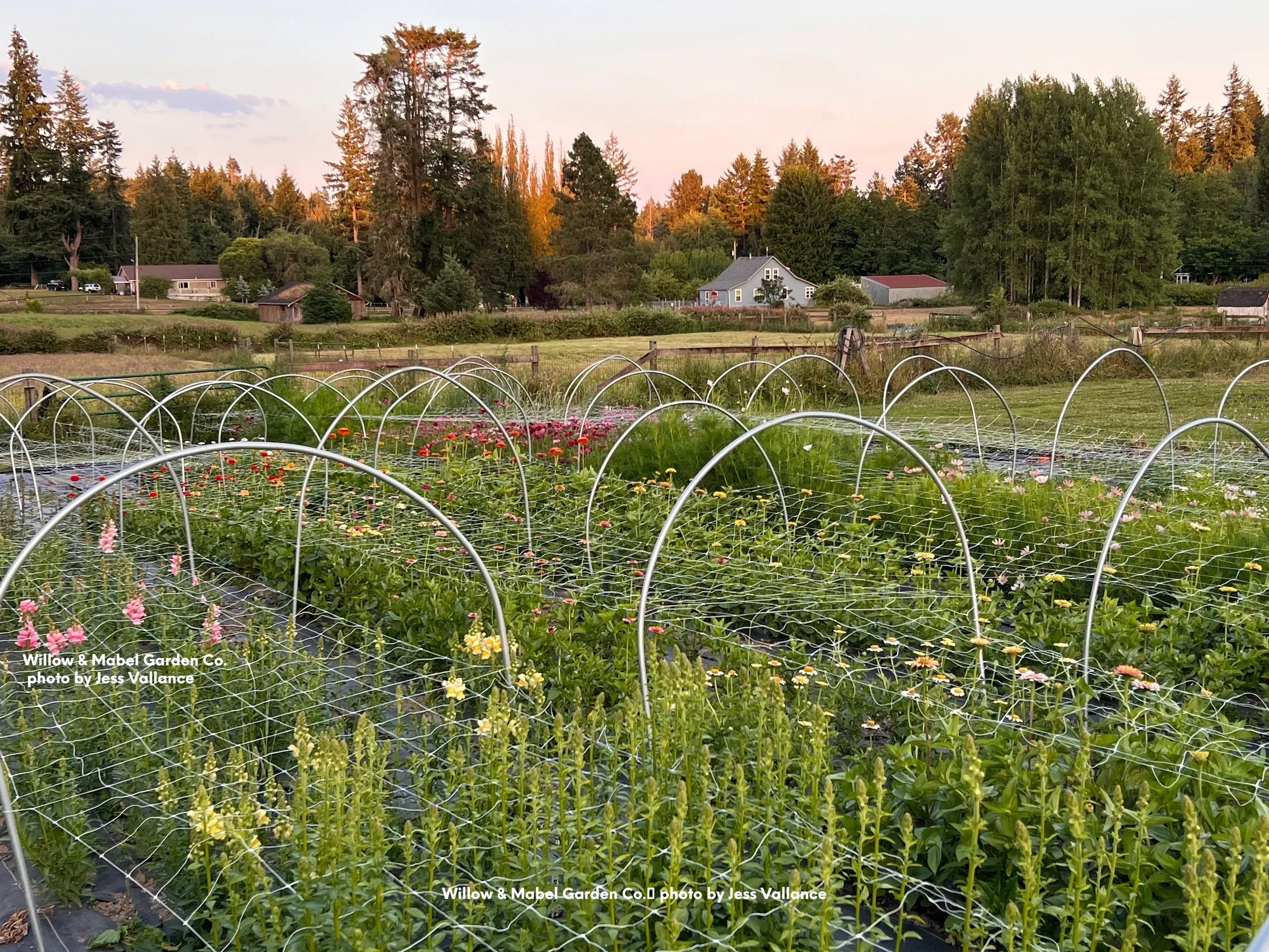 Preserve Kitsap Farmland